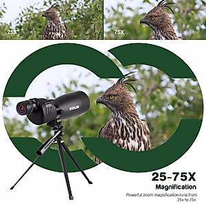 ESSLNB Spotting Scope with Tripod Cell Phone Adapter 25-75 X 70 BAK4 Waterproof Straight Spotting Scopes for Target Shooting Hunting Bird Watching
