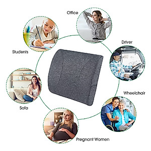 Big Hippo Heated Lumbar Support Pillow for Car, Memory Foam Back Support Cushion for Lower Back Pain Relief - Perfect for Car, Home, Office, Winter Use