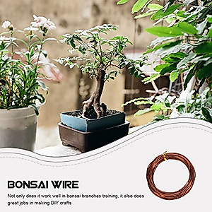 Happyyami 5 Rolls Bonsai Tool Set House Plants Indoors Live Bonsai Tree Training Wires Indoor Bonsai Tree Wire DIY Tools Small Trunks Training Wires Green Tie Branch Molding Line Aluminum