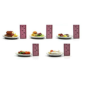 Lovely Mixed 5 Assorted Dollhouse Miniature Food,Tiny Food for Collectibles, Berger Breakfast and Beefsteak SalmonSteak