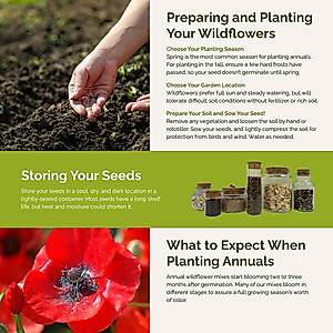 Eden Brothers Field of Dreams Flower Mixed Seeds for Planting, 1/4 lb, 120,000+ Seeds with German Chamomile, Cornflower | Attracts Pollinators, Plant in Spring or Fall, Zones 3, 4, 5, 6, 7, 8, 9, 10