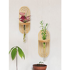 Biubee Plastic Wall Hanging Planter Tubes with Wooden Holders- 4 Set Separate Wall Mounted Propagation Plant Station Stable Hanging Test Tube Vase for Indoor Hydroponics Plants Home Office Decor