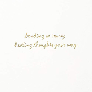 Hallmark Signature Get Well Card (Plant)