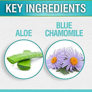 CHI CleanCare Clarifying Shampoo, Deeply Cleanses Hair & Scalp, Removes Build Up & Restores Moisture To Hair, Sulfate, Paraben, & Cruelty-Free, 12 Oz