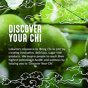 Lakanto Sugar Free Maple Syrup - Monk Fruit Sweetener, Keto Diet Friendly, Vegan, 1g Net Carbs, Pancakes, Waffles, Oatmeal, Coffee, Tea, Granola, Frosting, Marinade, Dressing (13 Fl Oz - Pack of 1)