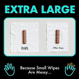 DUDE Wipes Flushable Wipes - 6 Pack, 288 Wipes - Mint Chill Extra-Large Wet Wipes with Eucalyptus & Tea Tree Oil - Septic and Sewer Safe