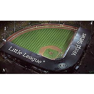 Spalding 41-102LL Little League World Series Official RST Baseballs (1 Dozen)