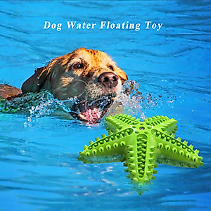 IDOLPET Dog Chew Toys Squeaky Dog Toys Dog Water Floating Toys Starfish Natural Tooth Brush Teeth Cleaning Toy for Small Medium Dog (Green)