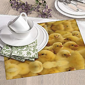 little Chickens Printed Drying Mat For Kitchen Ultra Absorbent Microfiber Dishes Drainer Mats Non-Slip Silicone Quick Dry Pad - 18 X 16inch