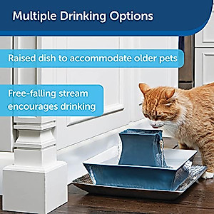 Drinkwell Pagoda Pet Fountain - From PetSafe in Knoxville, TN - Dog Water Bowl Dispenser - Multiple Angles to Drink From - Filters Included - Dog Fountain Provides Water When Power’s Out - Blue