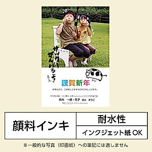 Pentel XFP5F Brush Pen, Pentel Brush, Ultra Fine, Black, 1.6 x 9.1 x 0.6 inches (40 x 230 x 15 mm)