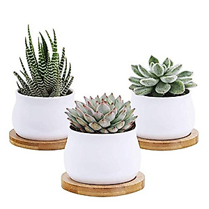 OYSIR 6pcs 3 inch Bamboo Round Plant Saucer, Mini Flower Pot Tray for Cactus Plant Pot Flower Pot Container Planter Bonsai Pots,no Plants Pot