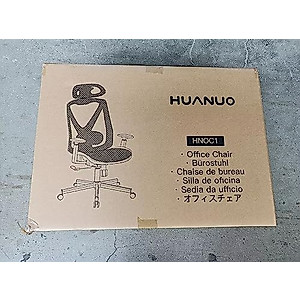 HUANUO Office Chair, Ergonomic Mesh Office Chair, Computer Chair with 2-Way Adjustable Lumbar Support, Headrest and Armrest, High Back Desk Chair with Tilt Lock Function