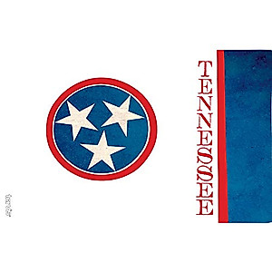 Tervis 1141731 Tennessee State Flag Colossal Insulated Tumbler with Wrap and Red Lid, 16oz, Clear