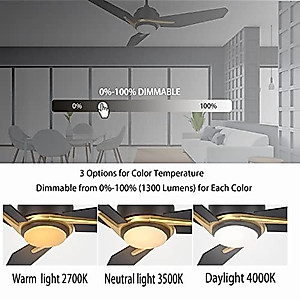 SMAAIR Smart Ceiling Fan with light, 3 Blades Black Outdoor Ceiling Fan with DC Motor,10-Speed,1-8 Hours Timer Schedule, Compatible with Remote Control/Alexa/Google Home/Siri (48", Black/Gold)