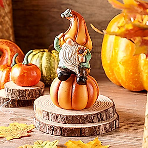 Jetec Thanksgiving Fall Gnome Statue Fall Pumpkin Gnome Decoration White Beard Figurine Autumn Resin Dwarf Elf Statue for Porch Garden Outdoor Yard Halloween Decorations, 6.7 Inch High