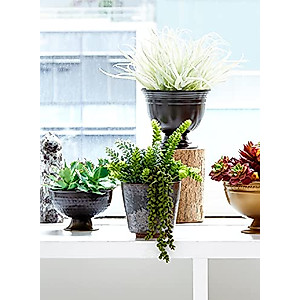 Serene Spaces Living Large Antique Style Hammered Copper Decorative Bowl, Rustic Home Accent Bowls for Flowers, Potpourri, Keys, For Coffee Table, Entryway Console, Measures 5" Tall & 8.25" Diameter