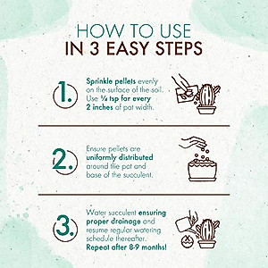 Succulents & Cactus Plant Food - Gentle Long Lasting Formula, Slow Release Fertilizer (Liquid Alternative) for All Potted Succulent, Cacti & Aloe Vera Plants (5 oz)