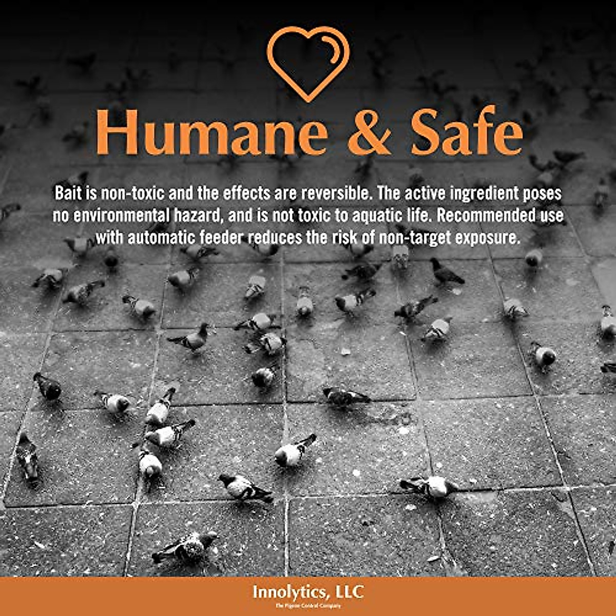 OVOCONTROL - Bird Pest Population and Birth Control Bait for Pigeons (30 lbs)