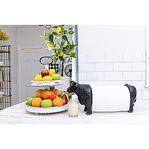 Creative Co-op EC0125 Distressed Wood 2-Tier Tray with Metal Handle, Cream