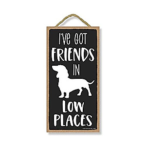 Honey Dew Gifts, I’ve Got Friends In Low Places, 5 inches by 10 inches, Dachshund Lover Gift Ideas, Dachshund Signs Home Office Decor, Wiener Dog Signs, Dotson Gifts, Dachshund Accessories
