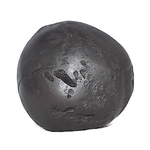 Adwaitya Golden ChinnaMasta Dasha MahaVidya Shaligram, Fossil, Fossil