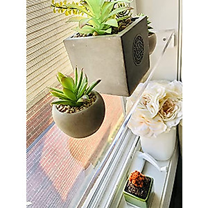 Elegant and Sophisticated Floating Window Shelf (21", Single Shelf) - Crystal Clear Recessed Durable Strong Acrylic Trinket, Plants, Succulents Indoor Collection Display Stand Trendy Modern Boho Chic