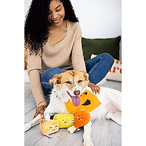 Pearhead Thanksgiving Dinner Dog Toys, Set of 3, Plush Dog Toys, Squeaky Dog Toy, Fall Pet Toys