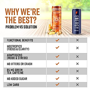 ODYSSEY ELIXIR Sparkling Mushroom Drink with Lions Mane and Cordyceps Adaptogenic Mushrooms, L Theanine and Green Tea Caffeine for Energy and Focus, 12 Fl oz, Variety Pack, 12 Cans