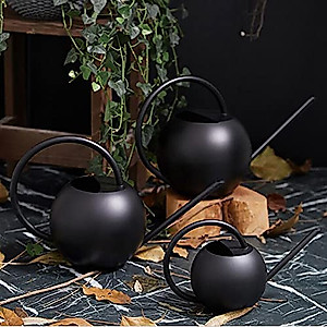 BDGWOIP Indoor Outdoor Watering Can, Stainless Steel Flower Cans Long Spout Plants Water Can Mini Device Plant Waterer for House Bonsai Garden Flower, Black, (33B15G0KNRFXX291L8GAWKSO)