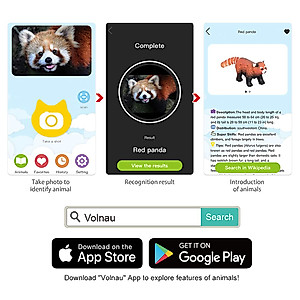 Volnau Jungle Animal Figurines Toys 9PCS South America Figures for Toddlers Kids Christmas Decoration Gift Preschool Educational Zoo Pack Rainforest Safari Forest Set