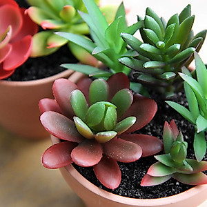 Briful Small Succulents Artificial 2 Pcs Fake Succulent Plants Faux Succulents in Pots Assorted Succulent Arrangements for Home Office Bathroom Room Shelf Rustic Farmhouse Windowsill Decor