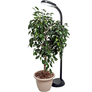 AgroBrite Hydrofarm FLF27DF 27-watt CFL, Black Floor Plant Light