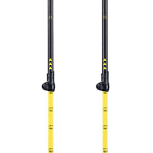 2021 Line Vision Adjustable Ski Poles