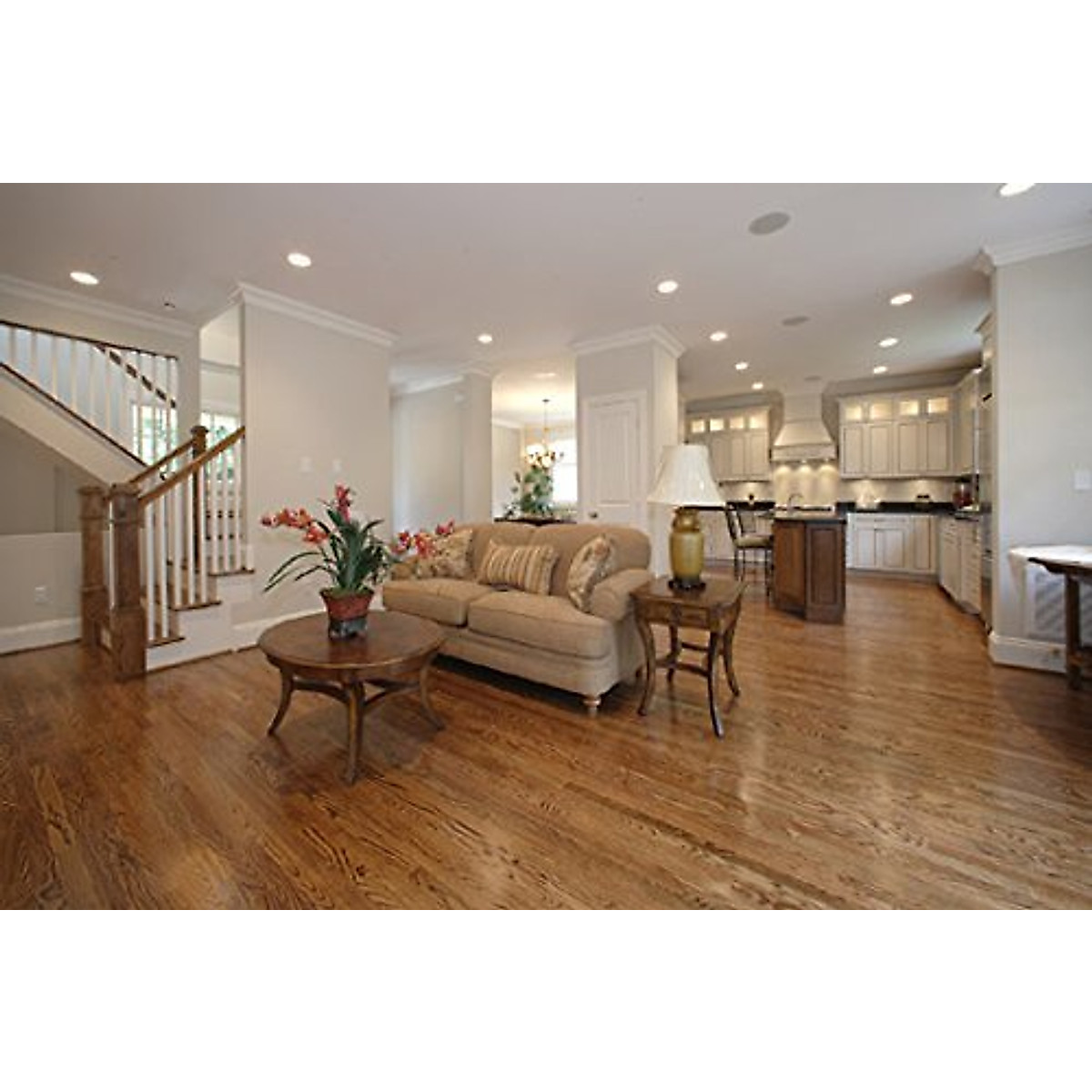 MR16 GU5.3 Halogen Light Bulbs (10 Pack) 20W 12V 3000k Warm White Spotlight Precision Halogen Reflector Fiber Optic Light Bulb 12V 20W for Landscape Light,School,Family,Tunnel Light