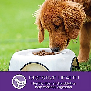 Wellness Complete Health Natural Wet Canned Dog Food, Lamb & Sweet Potato, 12.5-Ounce Can (Pack of 12)