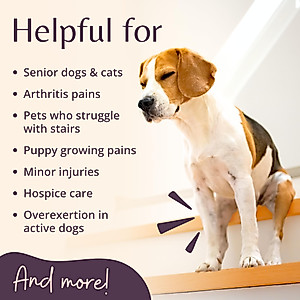 Glacier Peak Holistics Inflapotion - Natural Anti-Inflammatory Relief for Dogs & Cats, Organic Remedy Arthritis, Inflammation, Hip & Joint Pain - 3oz