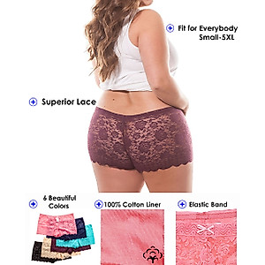 Barbra Lingerie Multi Pack of Women's Regular & Plus Size Lace Boyshort Panties (2XL, Rose)