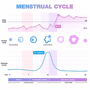 Easy@Home 50 Ovulation Test Strips and 20 Pregnancy Test Strips Combo Kit, (50 LH + 20 HCG)-Package May Vary