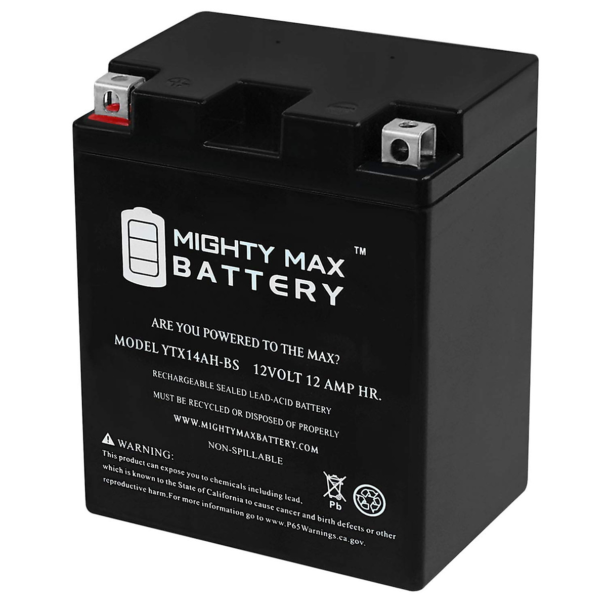 Mighty Max Battery YTX14AH-BS 12V 12Ah Battery Replaces Kawasaki KLF Bayou, KEF Lakota