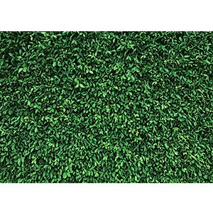 LYWYGG 8x6FT Green Leaves Photography Backdrops Mmicrofiber Nature Backdrop Birthday Background for Birthday Party Seamless Photo Booth Prop Backdrop CP-87-0806