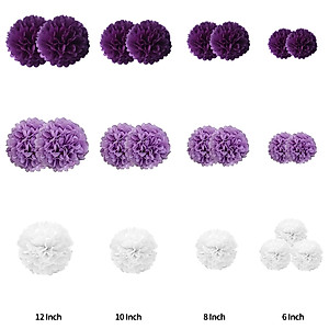 Tissue Paper Pom Poms 22 Pcs Purple,Lavender,White Paper Flower Ball for Birthday Bachelorette Wedding Baby Bridal Shower Party Decoration by BRT Bearingshui
