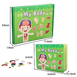 Montessori Toys for Toddlers, Body Learning Toys for Kids Toddlers, Learning Binder Sturdy Book Toddler Activity Educational, Early Learning Toys Book for 2 3 4 Year Old Boys & Girls