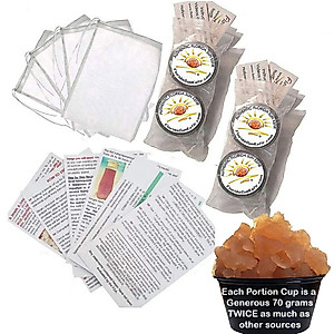 (4) PORTION Cups of Live Florida Sun Kefir Water Kefir Grains Natural Probiotics (6) SIX BREWING BAGS INCLUDED