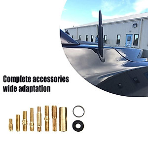 Tecreddy Universal Bullet Antenna Car Vehicle Replacement Antenna Compatible with Ford F150 F250 F350 Super Duty Raptor Dodge RAM 1500 2500 3500, Black