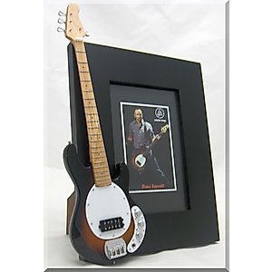 DAVE FARRELL Miniature Guitar Frame Stingray Bass Linkin Park