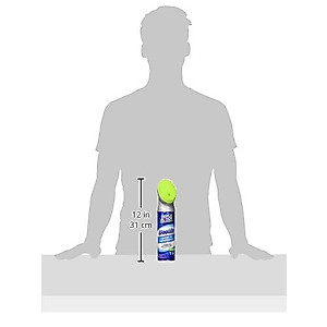 WOOLITE Cleaner, Carpet & Upholstery, 12 Ounce