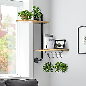 THYGIFTREE Window Plant Shelves 2-Tier Rotating Plant Display Holder Wall Mounted Pipe Swivel Plant Stand Rustic Floating Shelves for Houseplants Herbs, Wood