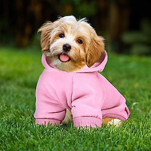 2 Pieces Winter Dog Hoodie Warm Small Dog Sweatshirts with Pocket Cotton Coat for Chihuahua Clothes Puppy Costume(S,Pink, Light Purple)