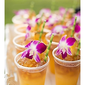 Sunne Tropical OrchidClub USA Loose Bloom Fresh Orchid Flower Head DIY Lei, food & drink decoration (100 PURPLE)